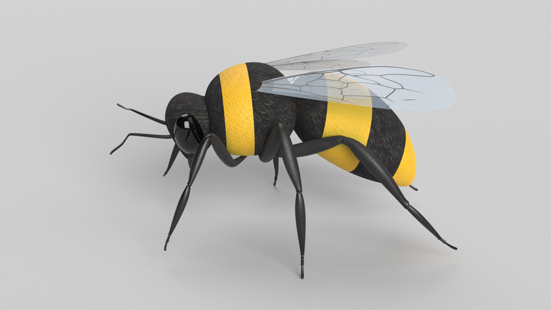 Bumblebee 3D Model - TurboSquid 2059469