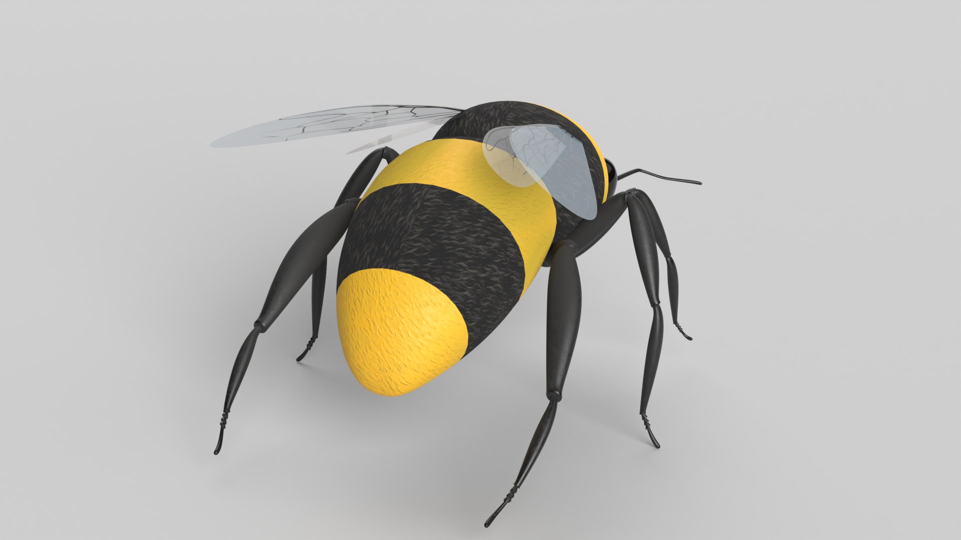 Bumblebee 3D Model - TurboSquid 2059469