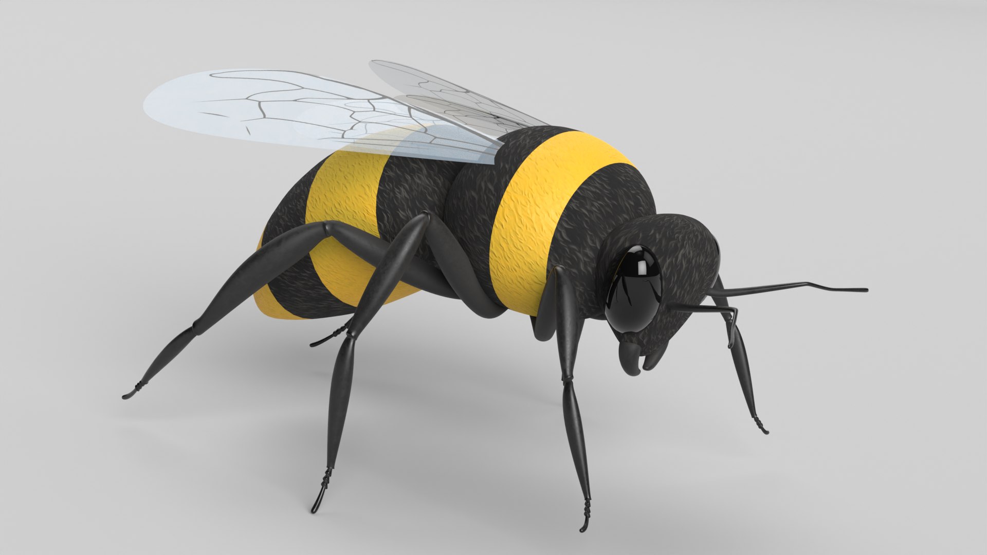 Bumblebee 3D Model - TurboSquid 2059469
