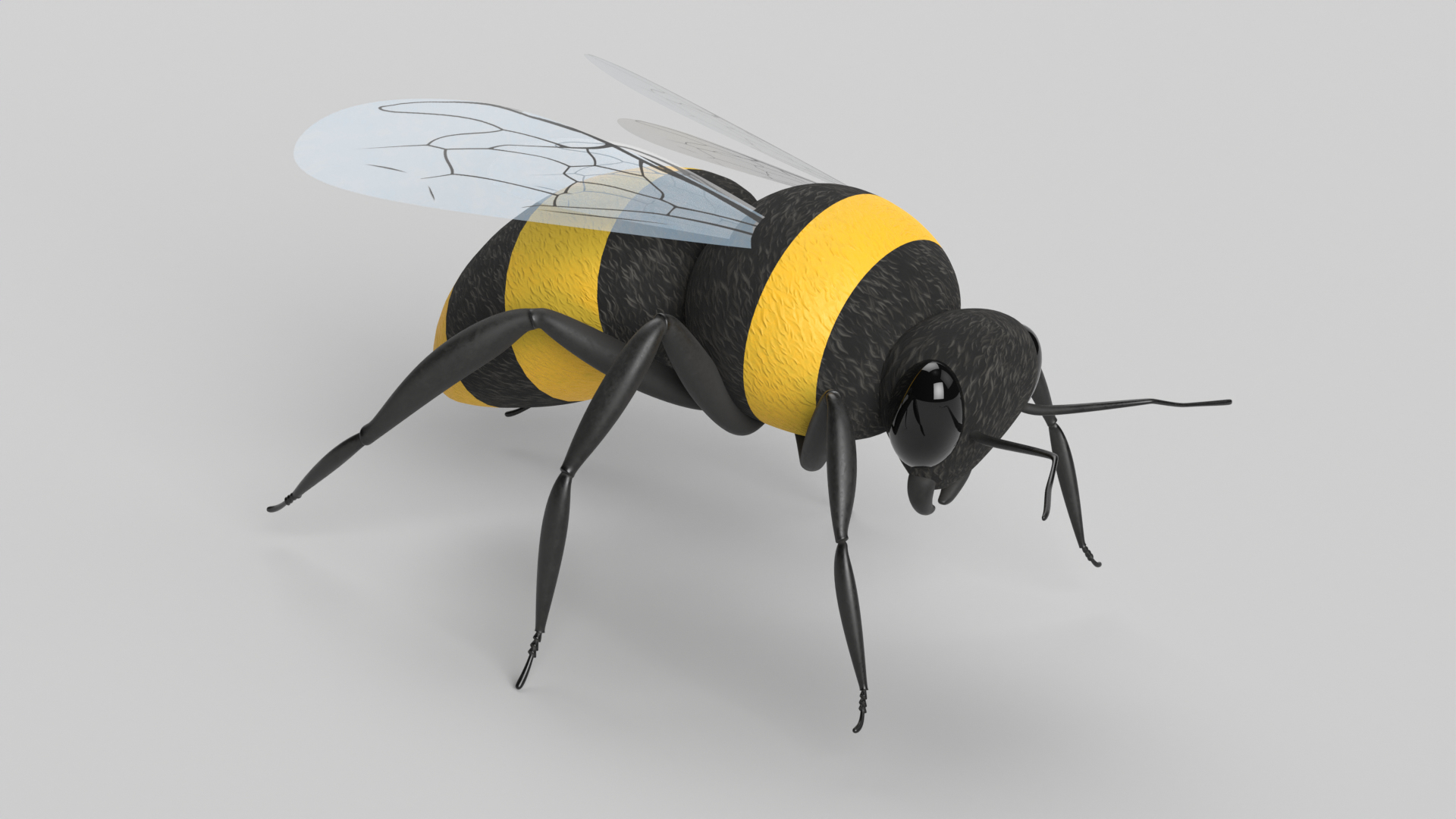Bumblebee 3D Model - TurboSquid 2059469
