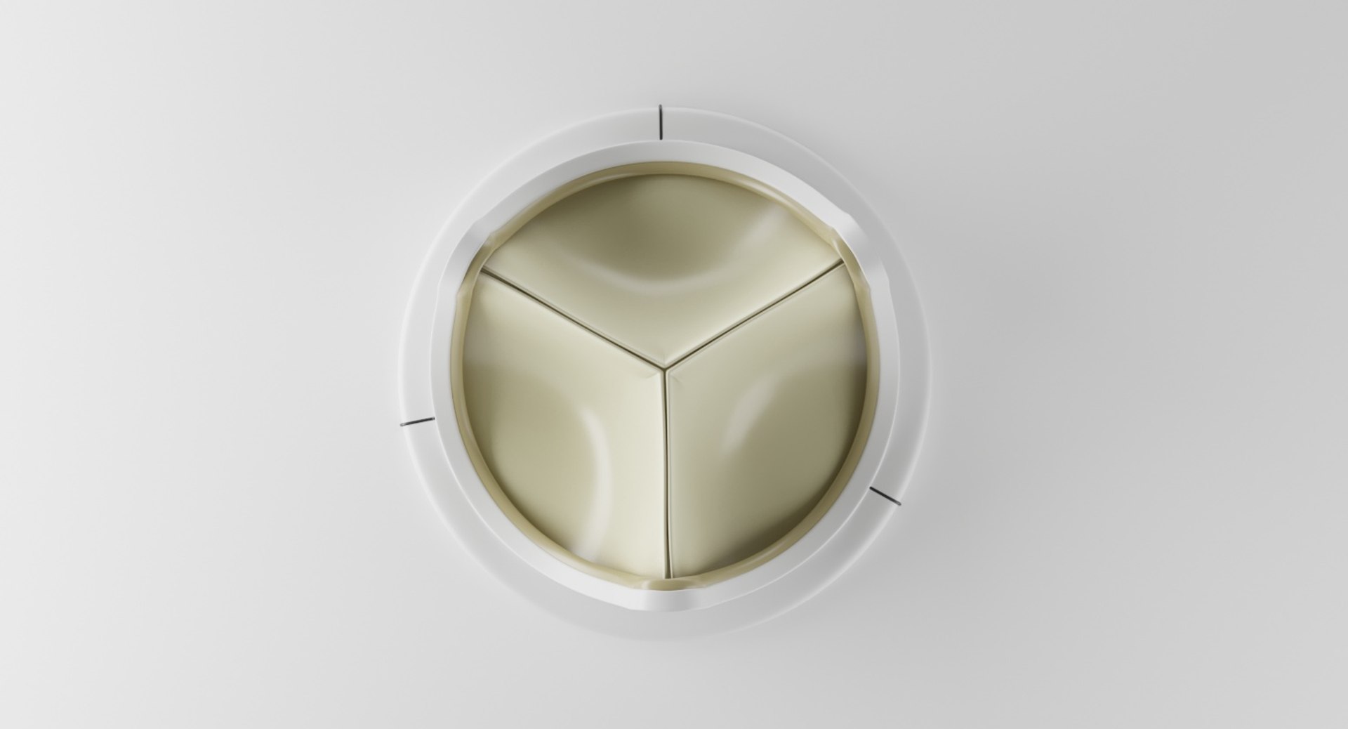 3D Artificial Heart Valve Model - TurboSquid 1317384