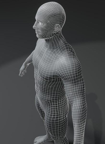 Male and Female Body Base Mesh 10k Polygons3D模型 - TurboSquid 1678218
