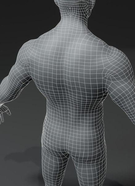 Male and Female Body Base Mesh 10k Polygons3D模型 - TurboSquid 1678218