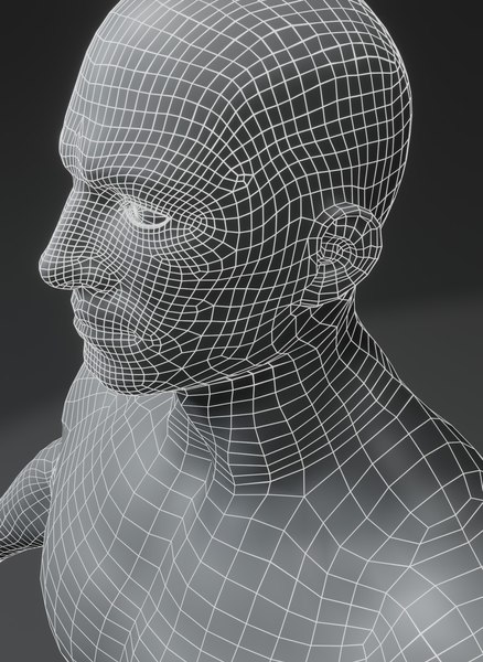 Male and Female Body Base Mesh 10k Polygons3D模型 - TurboSquid 1678218