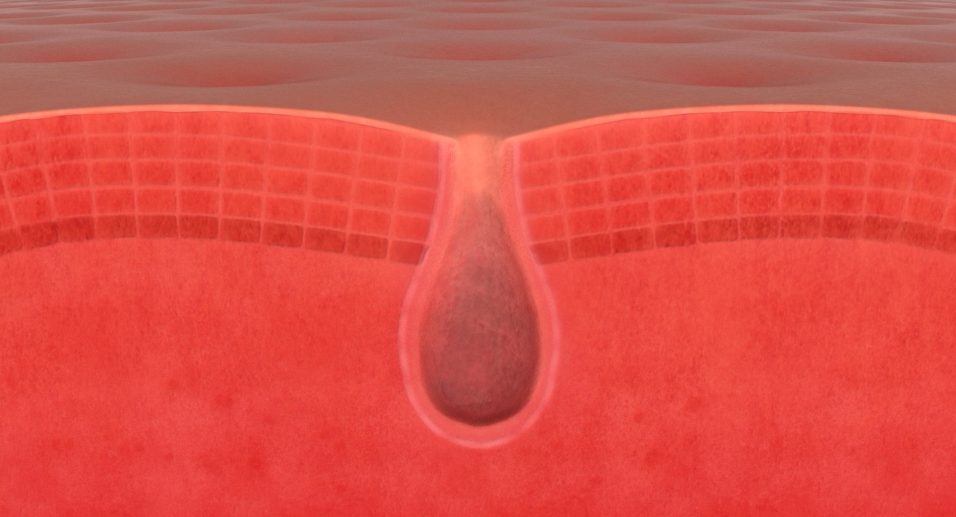 3d Model Skin Pore