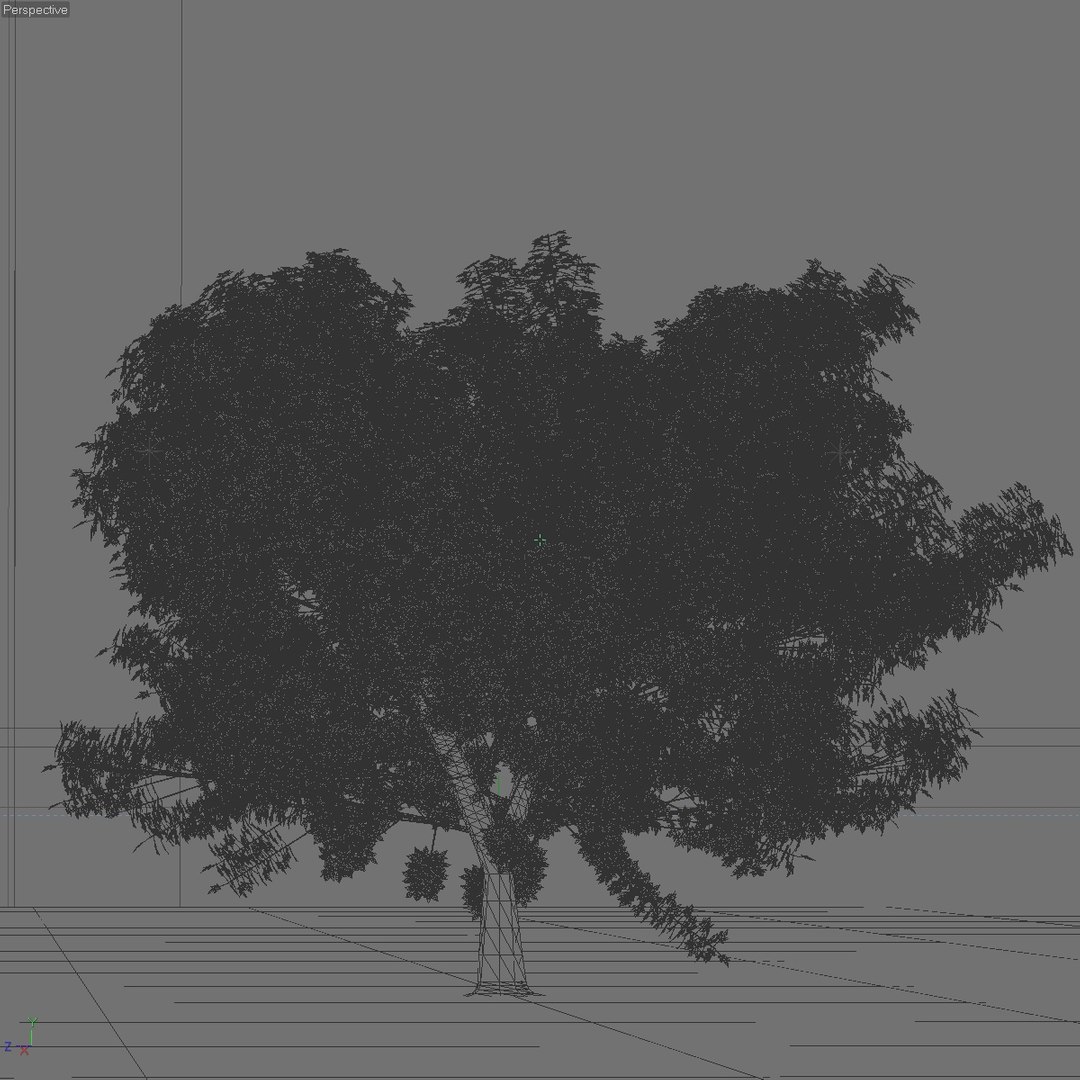 3d Model Plane Tree