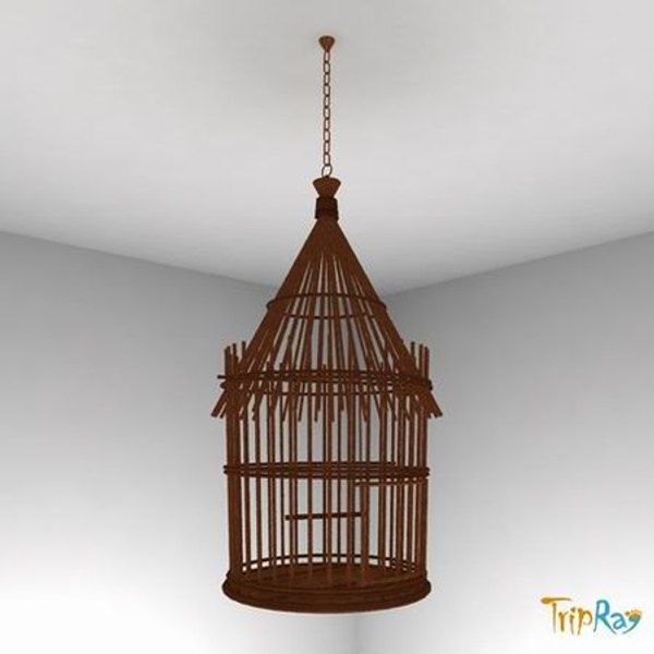 birdcage cage bird 3d max