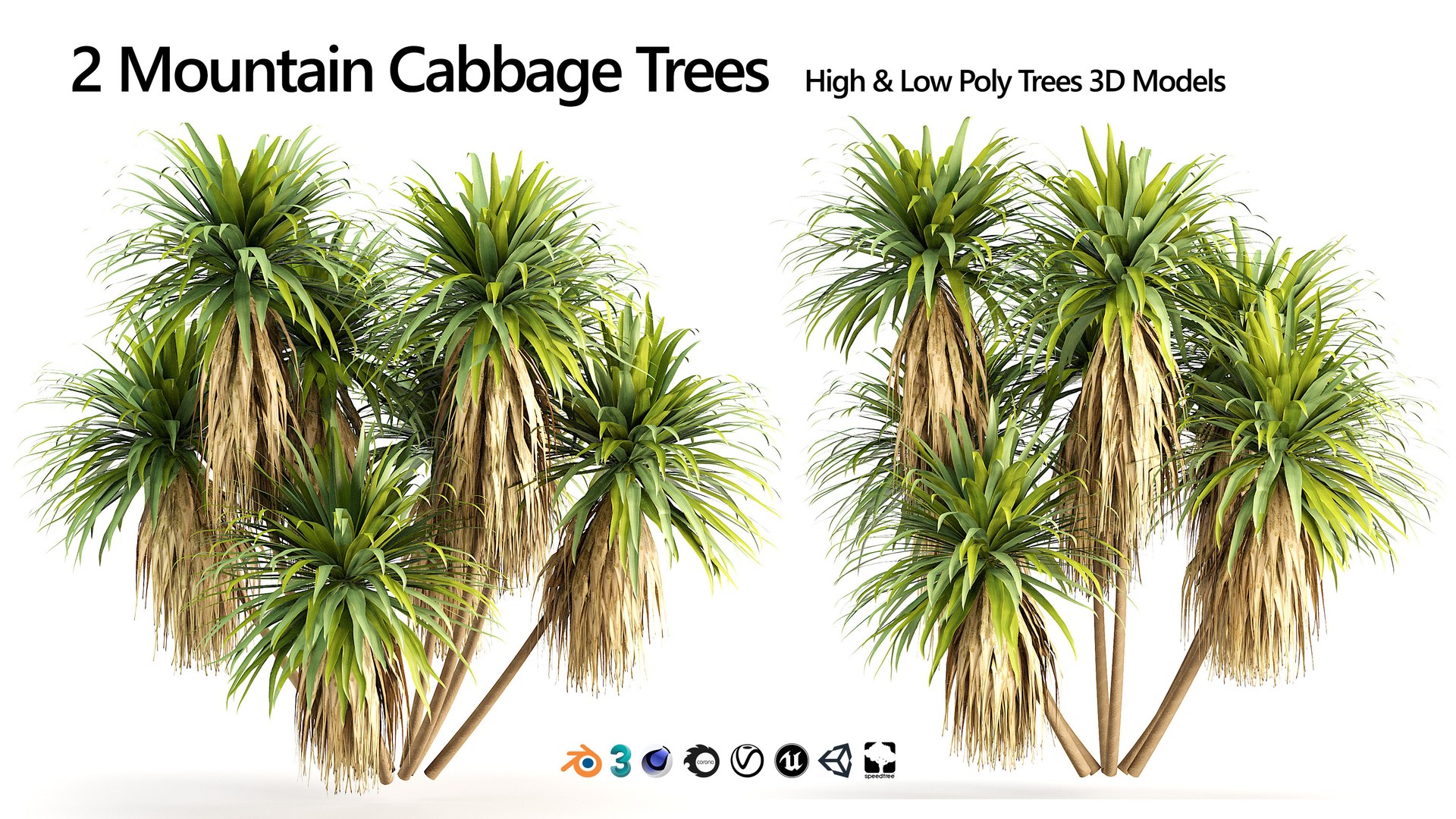3D Realistic Mountain Cabbage Model - TurboSquid 2123822