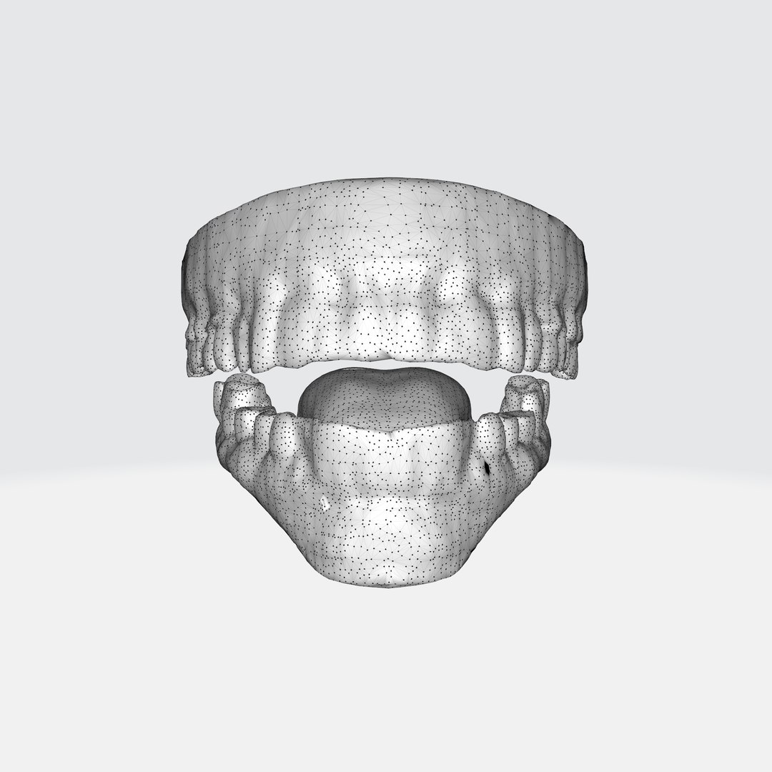 3D Realistic Human Teeth - TurboSquid 2266431