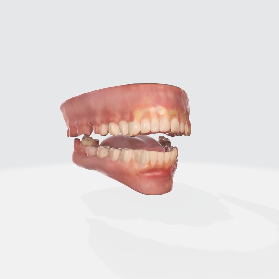 3D Realistic Human Teeth - TurboSquid 2266431