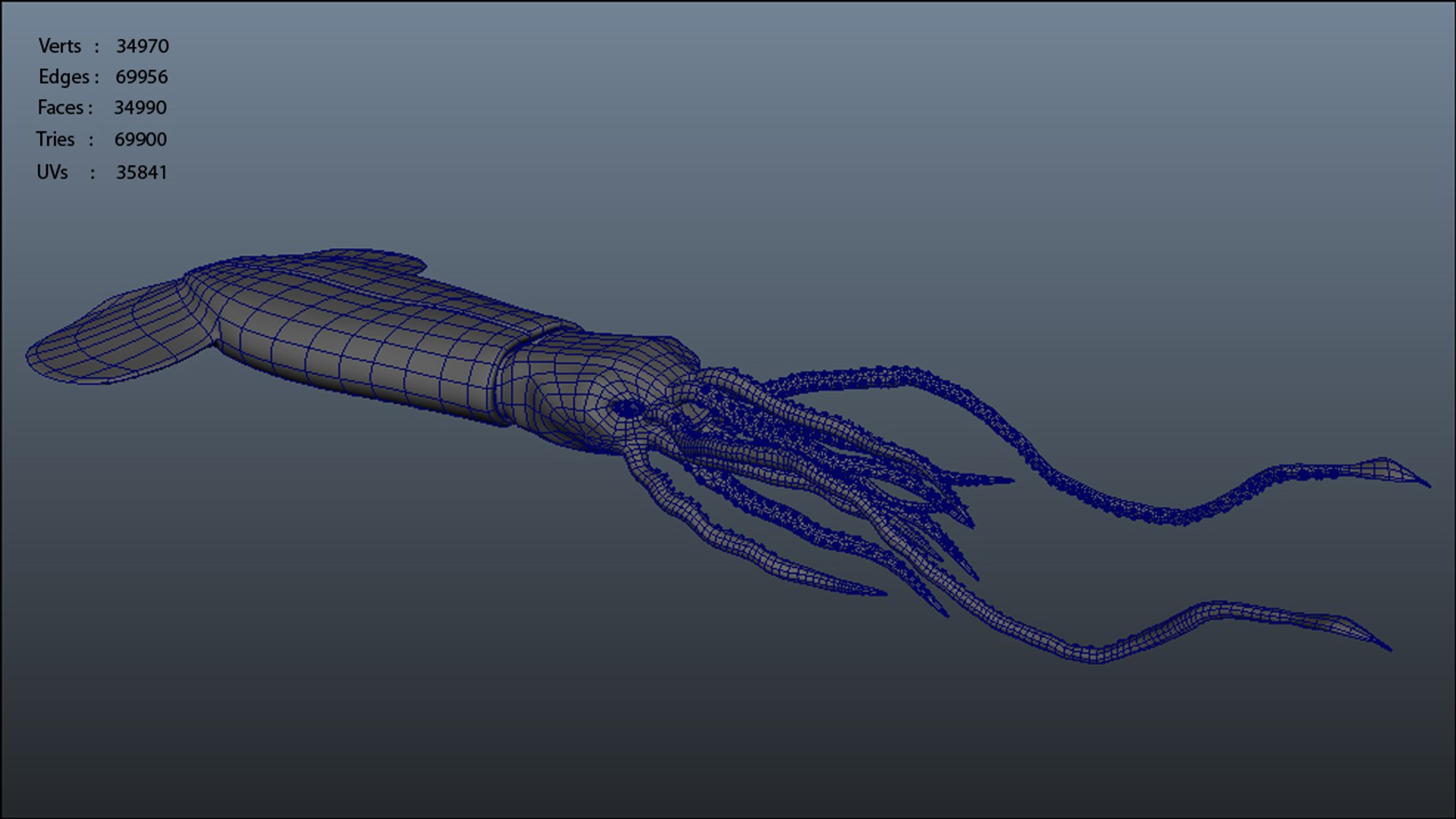 3d Obj Giant Squid