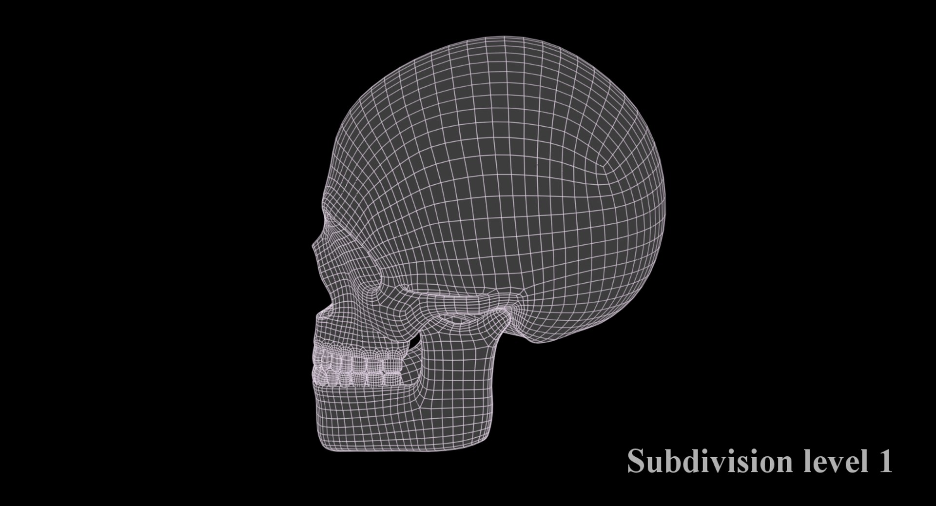 Skull Asset Unity 3D Model - TurboSquid 1238853