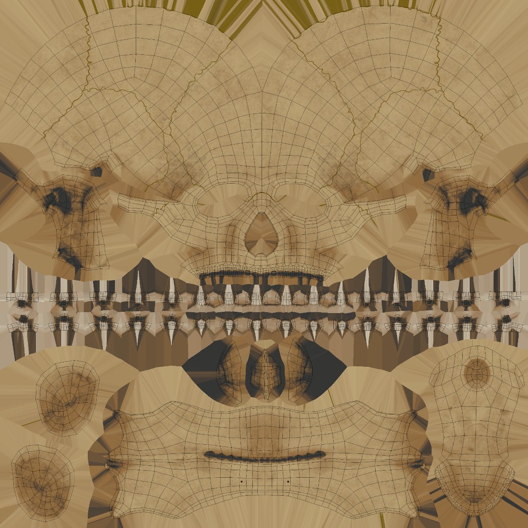 Skull Asset Unity 3D Model - TurboSquid 1238853