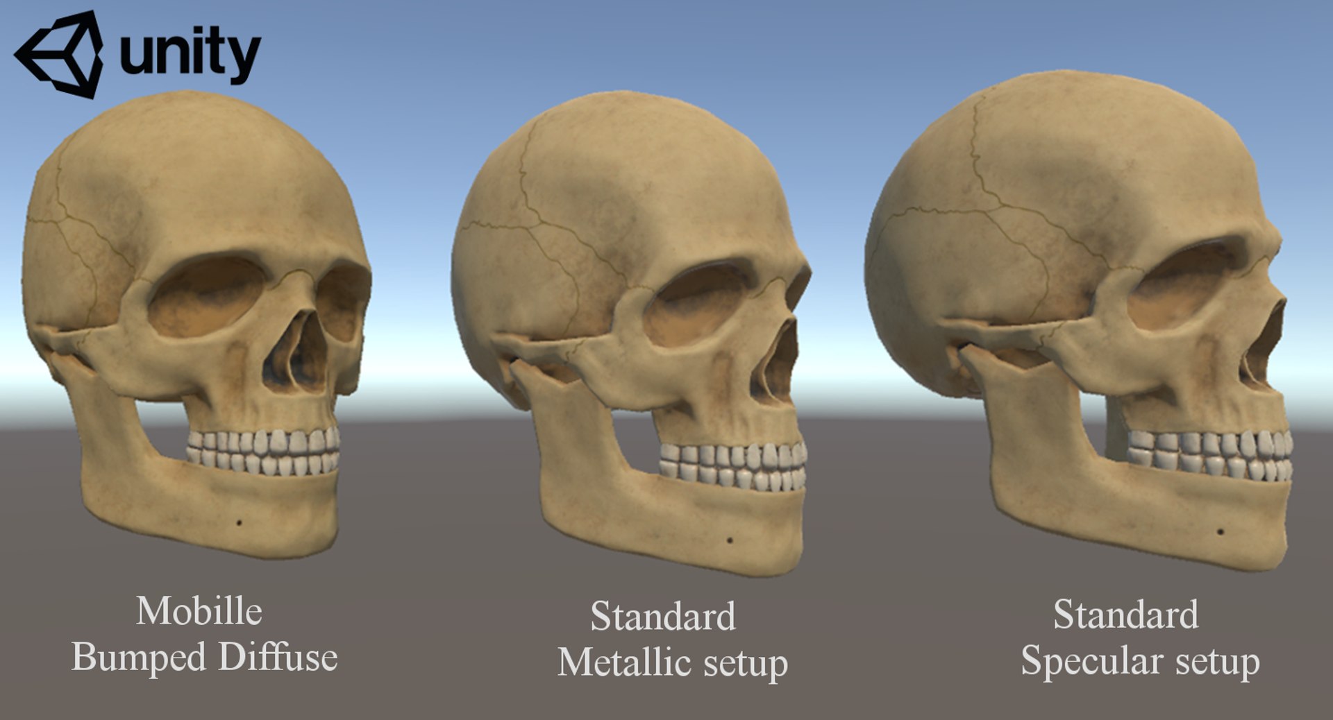 Skull Asset Unity 3D Model - TurboSquid 1238853