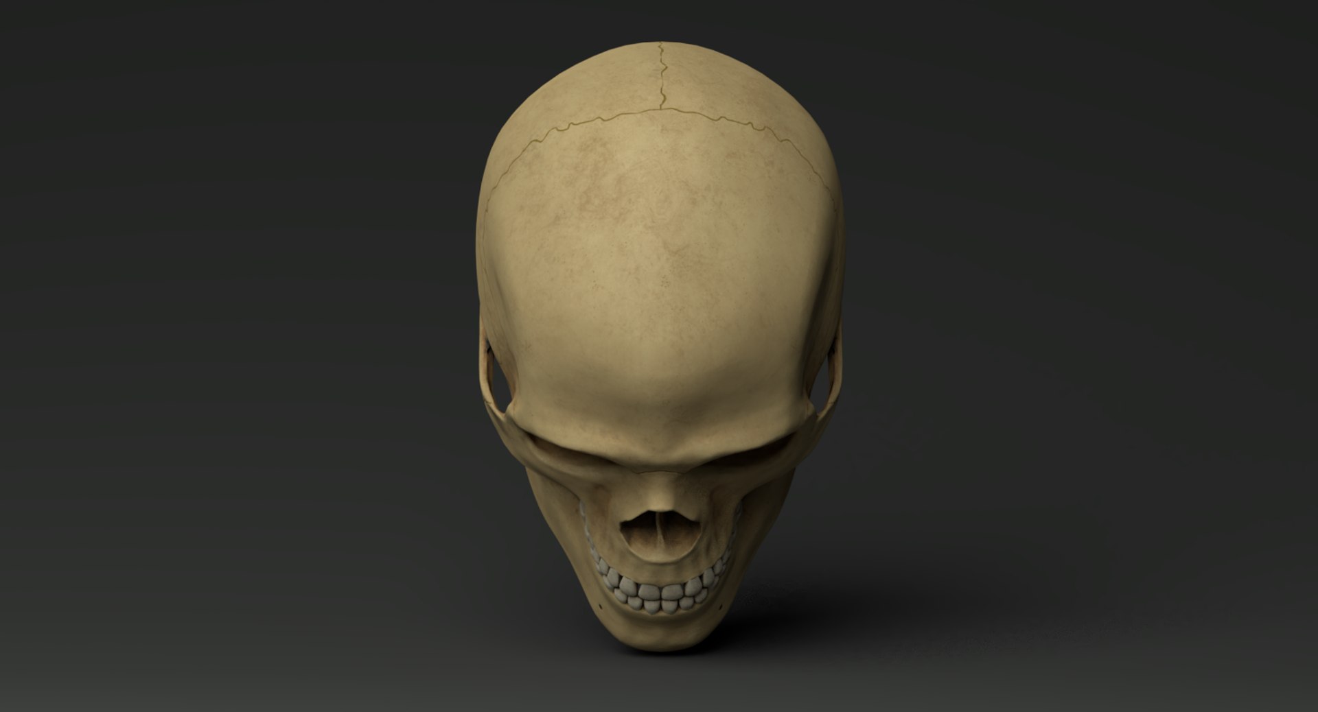 Skull Asset Unity 3D Model - TurboSquid 1238853