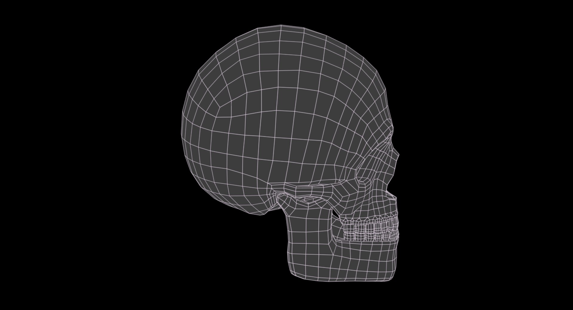 Skull Asset Unity 3D Model - TurboSquid 1238853
