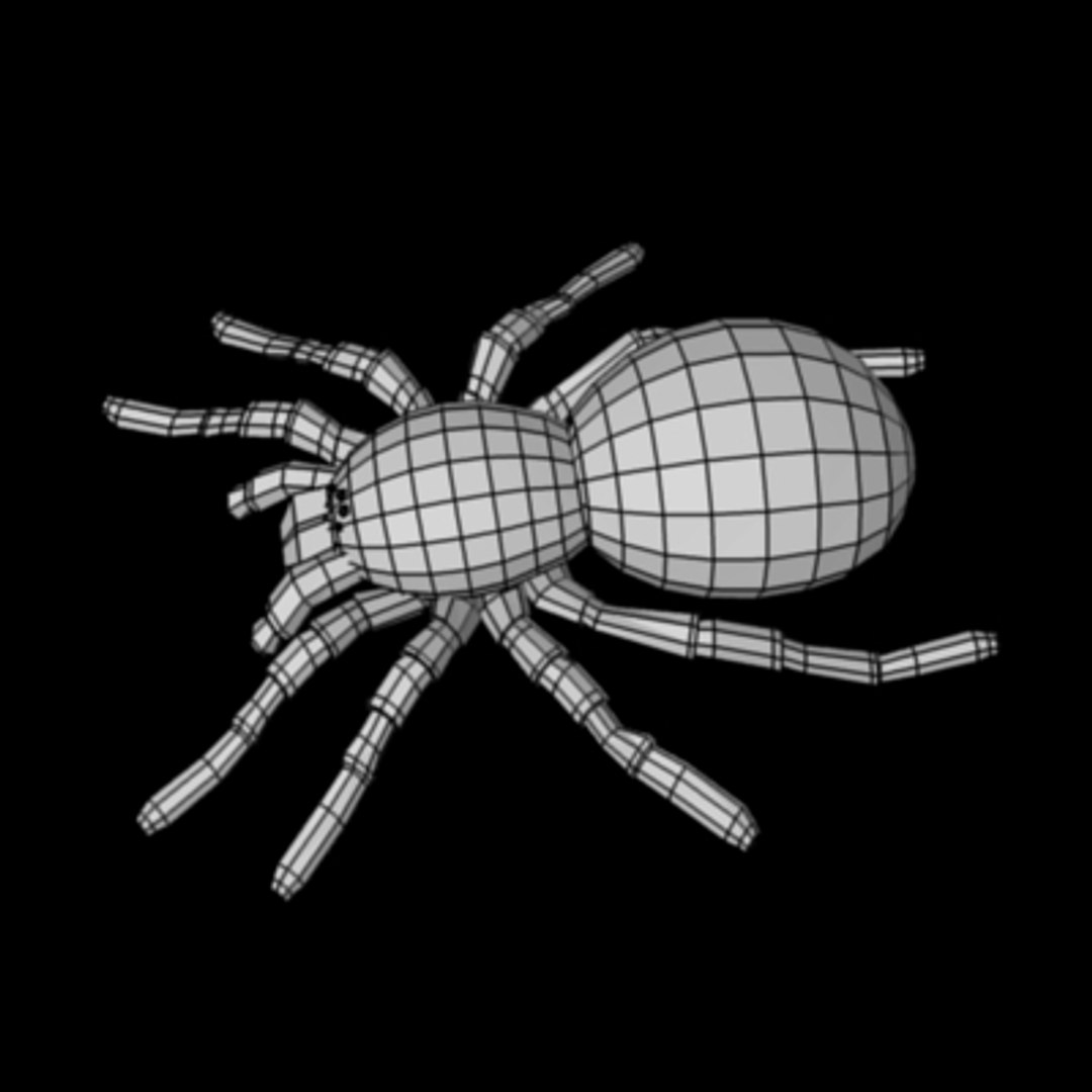 3d Tarantula Model