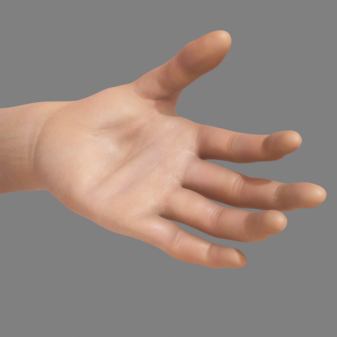 maya realistic female human anatomy