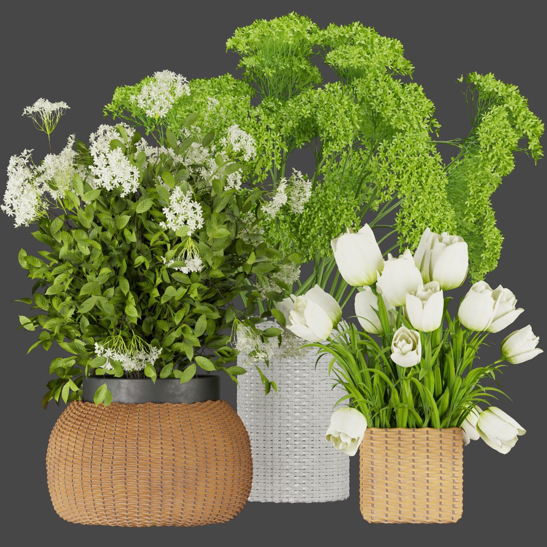 3D Model Collection Plant Vol 365 - Bouquet - Flower - Rose - Indoor ...