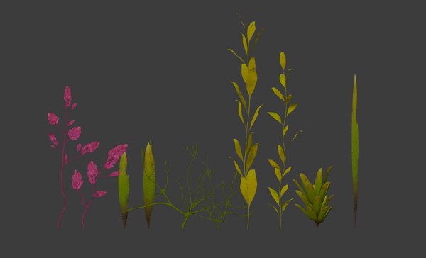 Seaweed collection Low-poly 3D model - TurboSquid 2000516