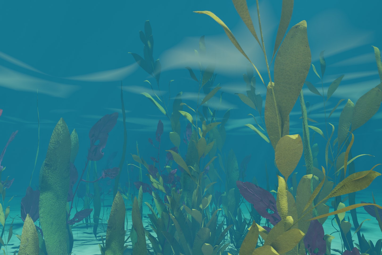 Seaweed Collection Low-poly 3D Model - TurboSquid 2000516