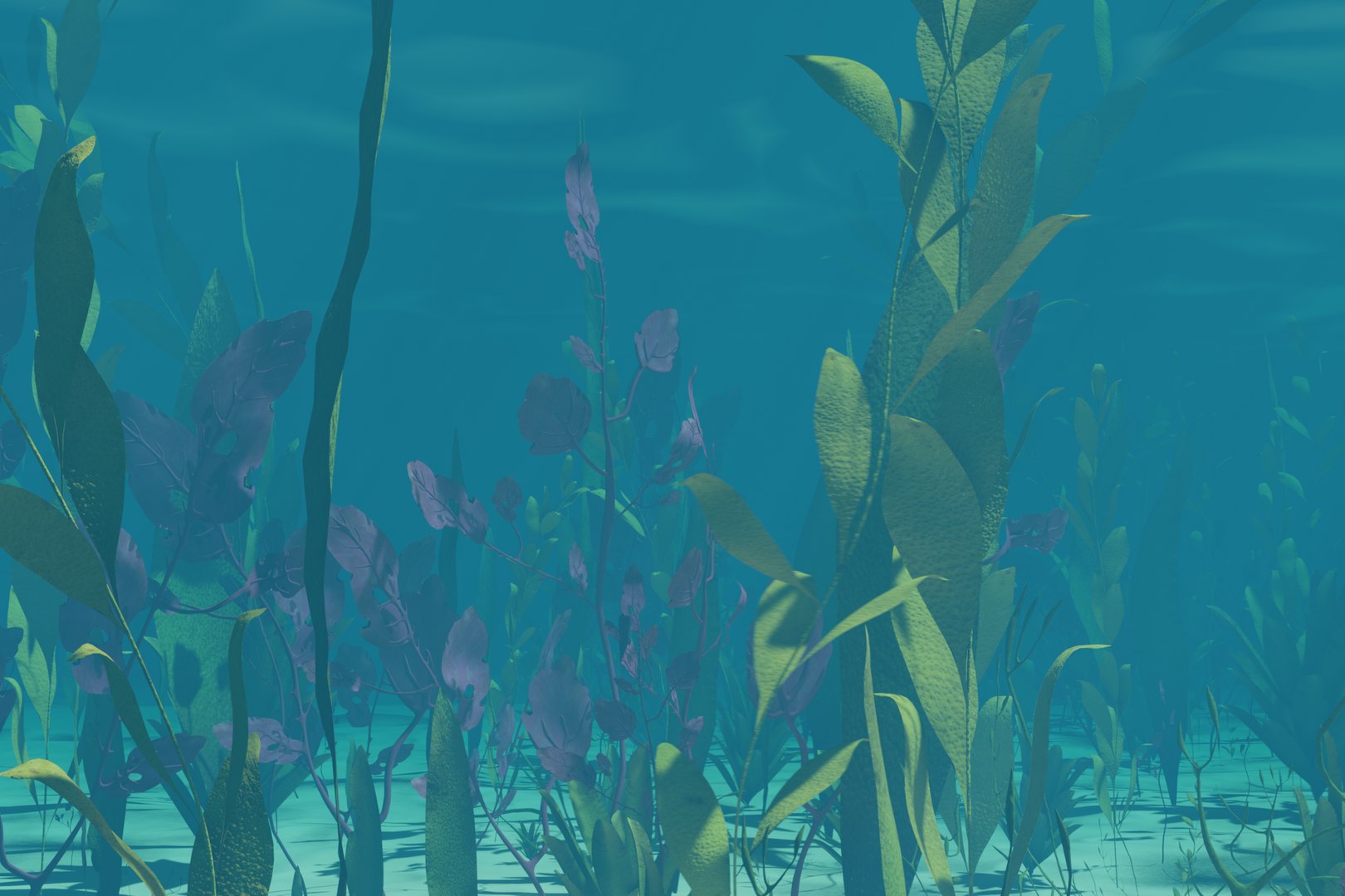 Seaweed Collection Low-poly 3D Model - TurboSquid 2000516