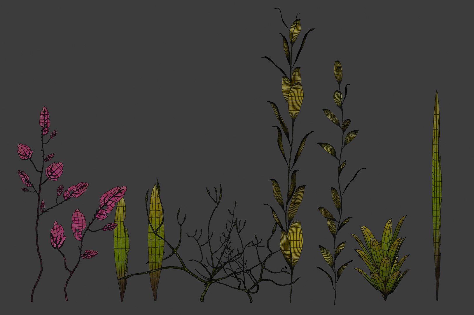 Seaweed Collection Low-poly 3D Model - TurboSquid 2000516