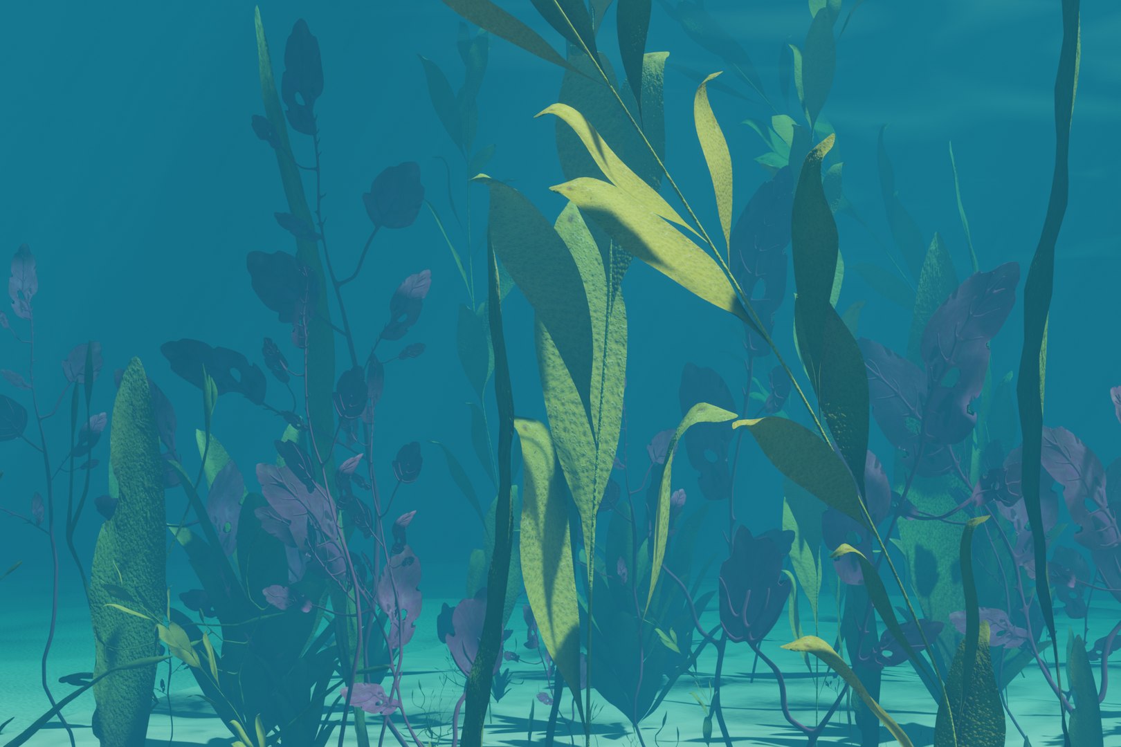 Seaweed Collection Low-poly 3D Model - TurboSquid 2000516