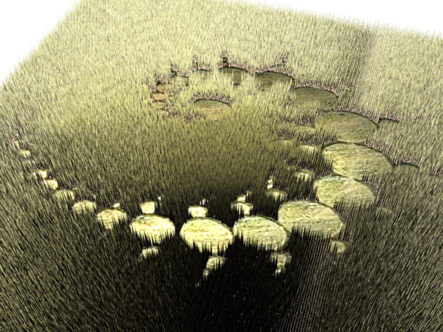 3d Crop Circles Model