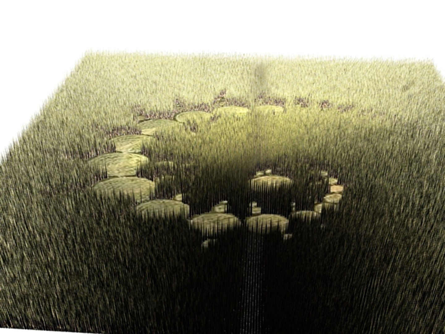3d Crop Circles Model