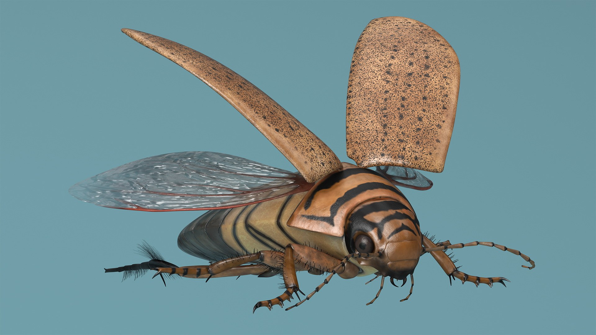 3D Insect Water Beetle Beige Realistic Rigged Model - TurboSquid 2250704