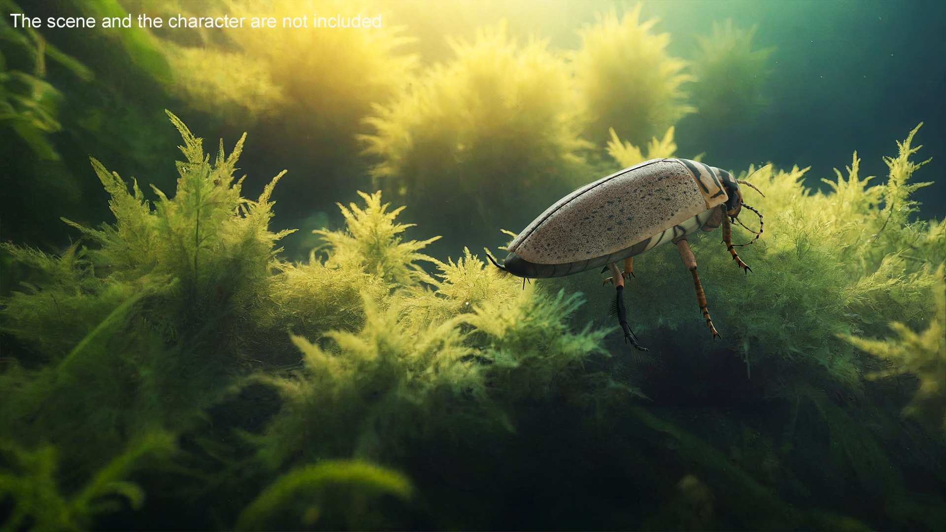 3D Insect Water Beetle Beige Realistic Rigged Model - TurboSquid 2250704