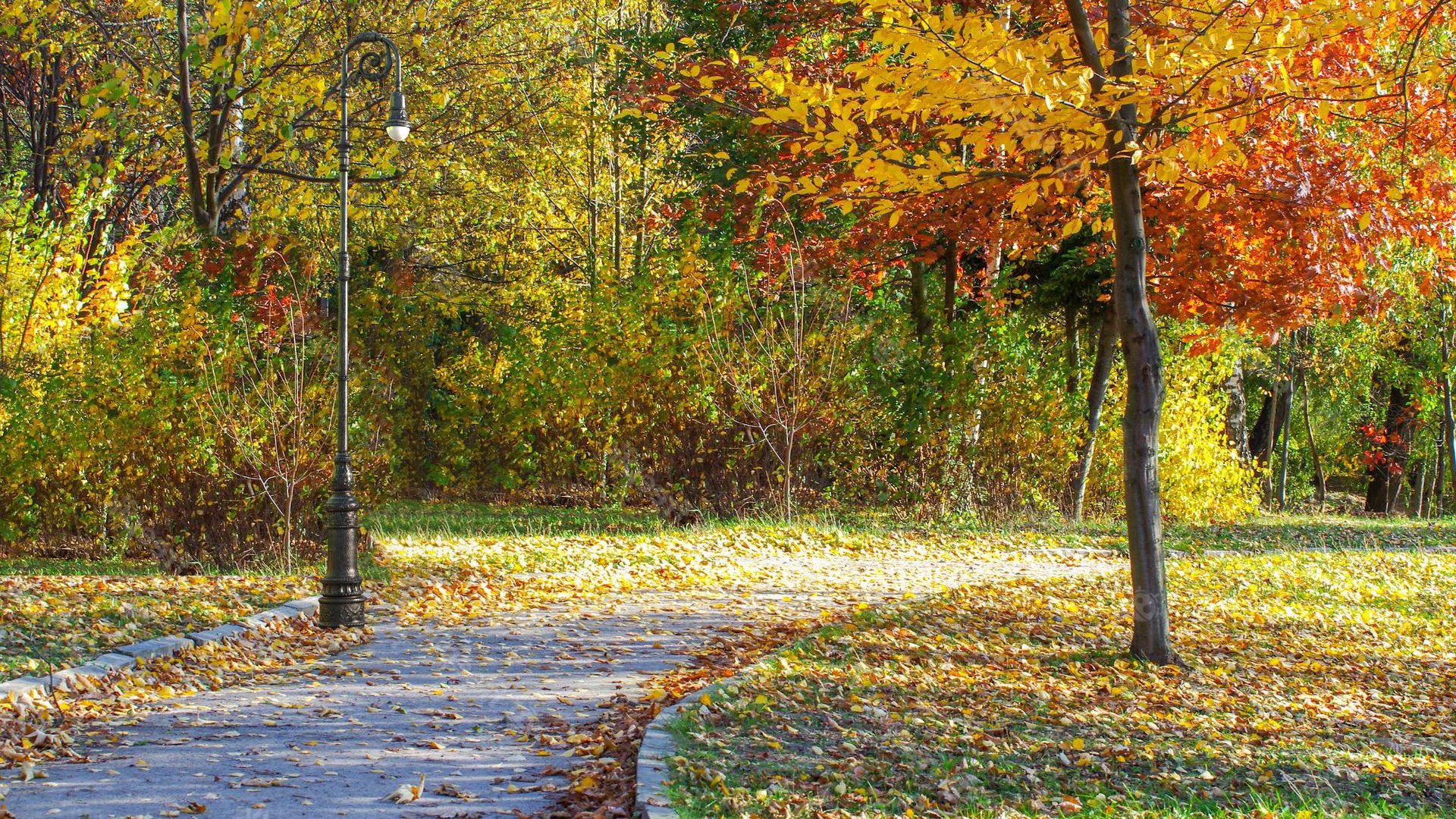 3D Street Light Model - TurboSquid 2128800