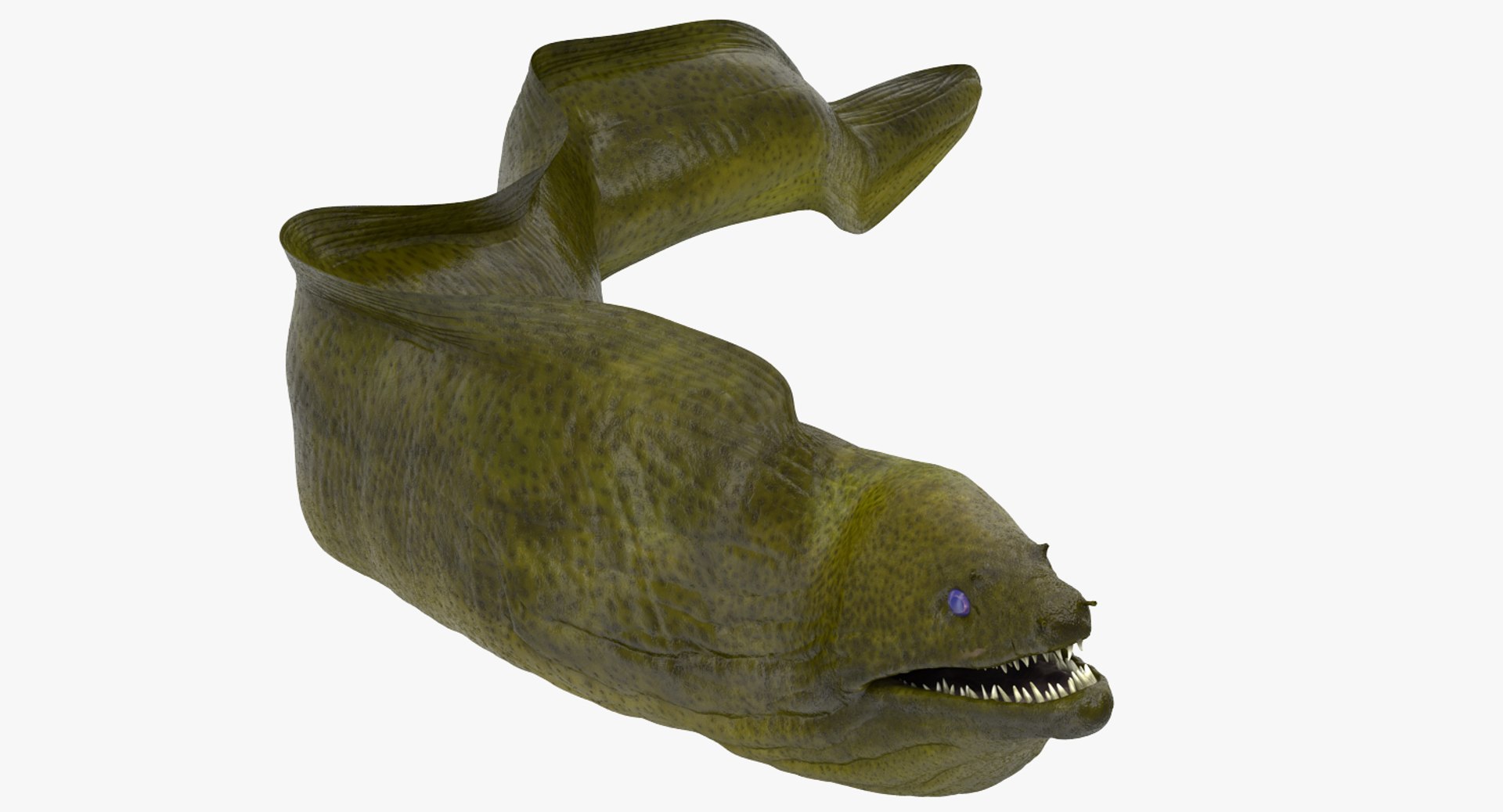 3d model murena rigged