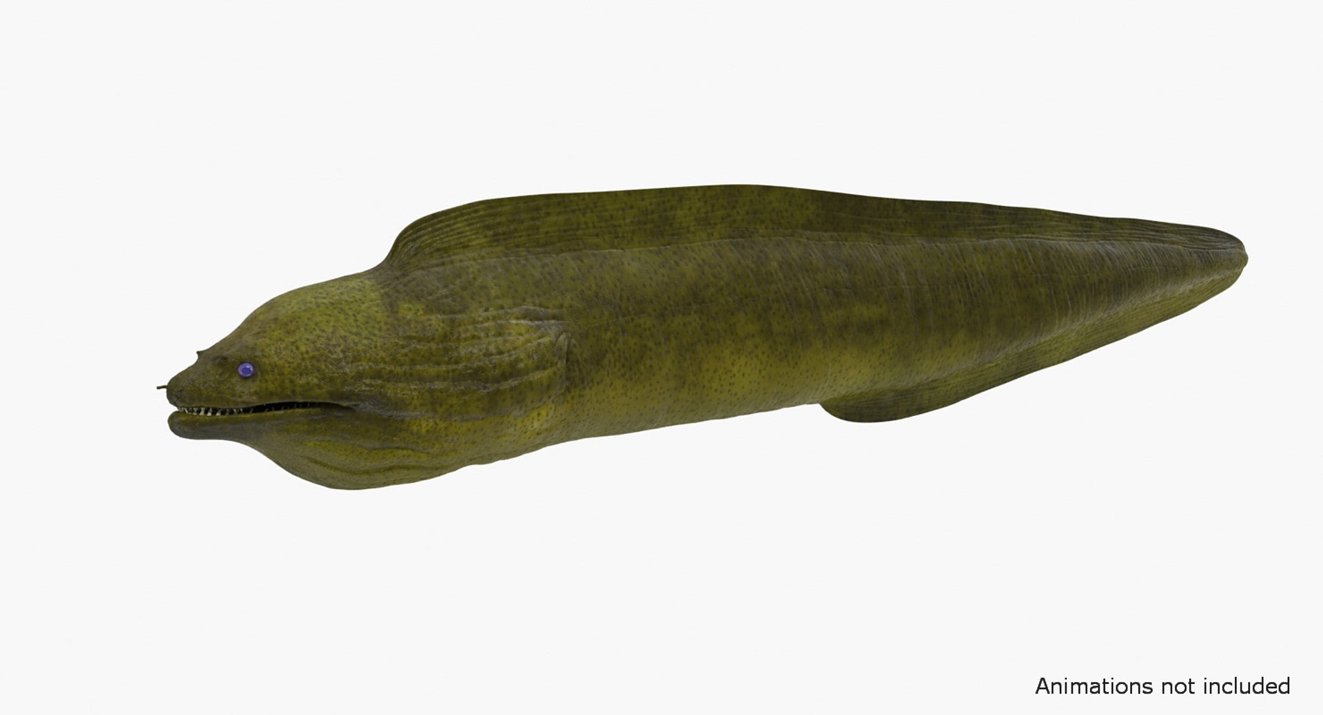 3d Model Murena Rigged