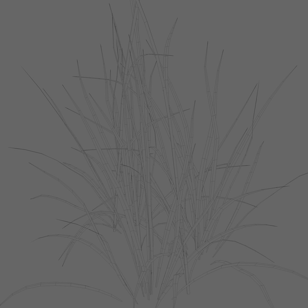 Wild Grass 3D Model - TurboSquid 1298847