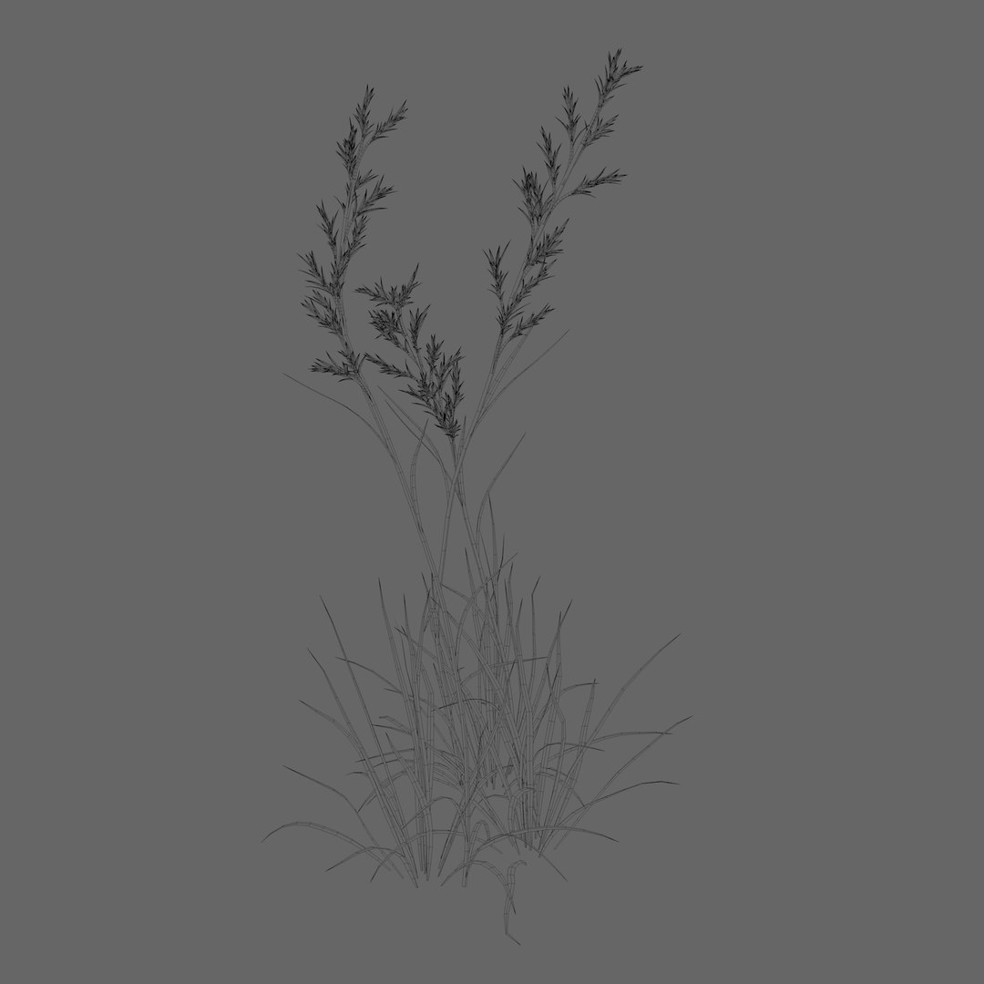Wild Grass 3D Model - TurboSquid 1298847