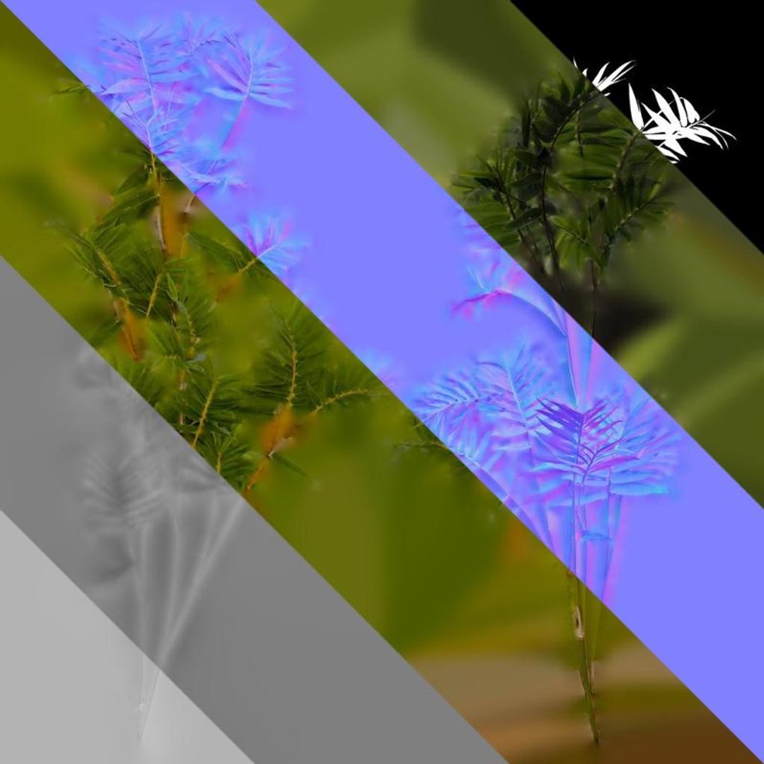 3D Anydrafts Bambusa Multiplex Fernleaf Atlas 04 Textures - TurboSquid ...