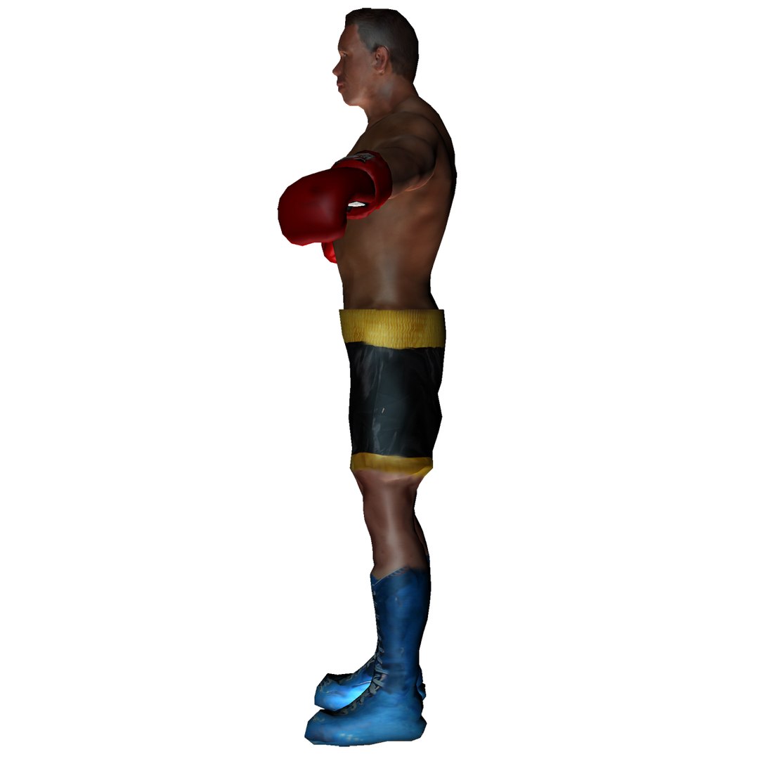 3d Boxer Model