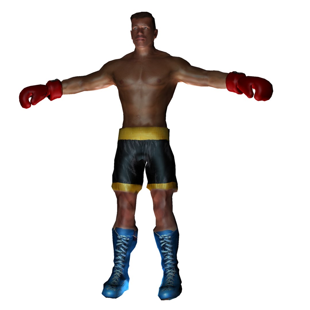 3d Boxer Model