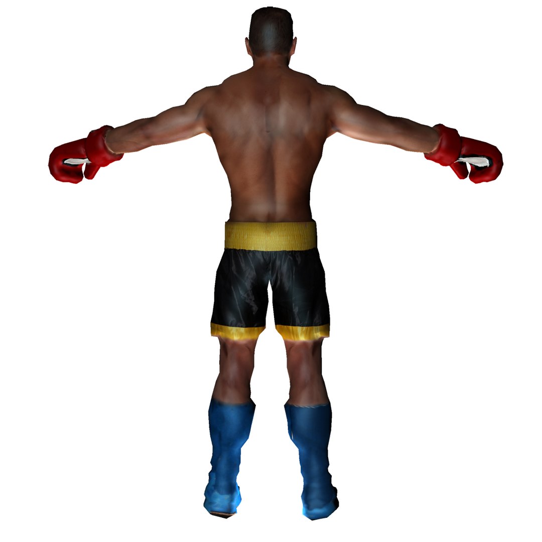 3d Boxer Model