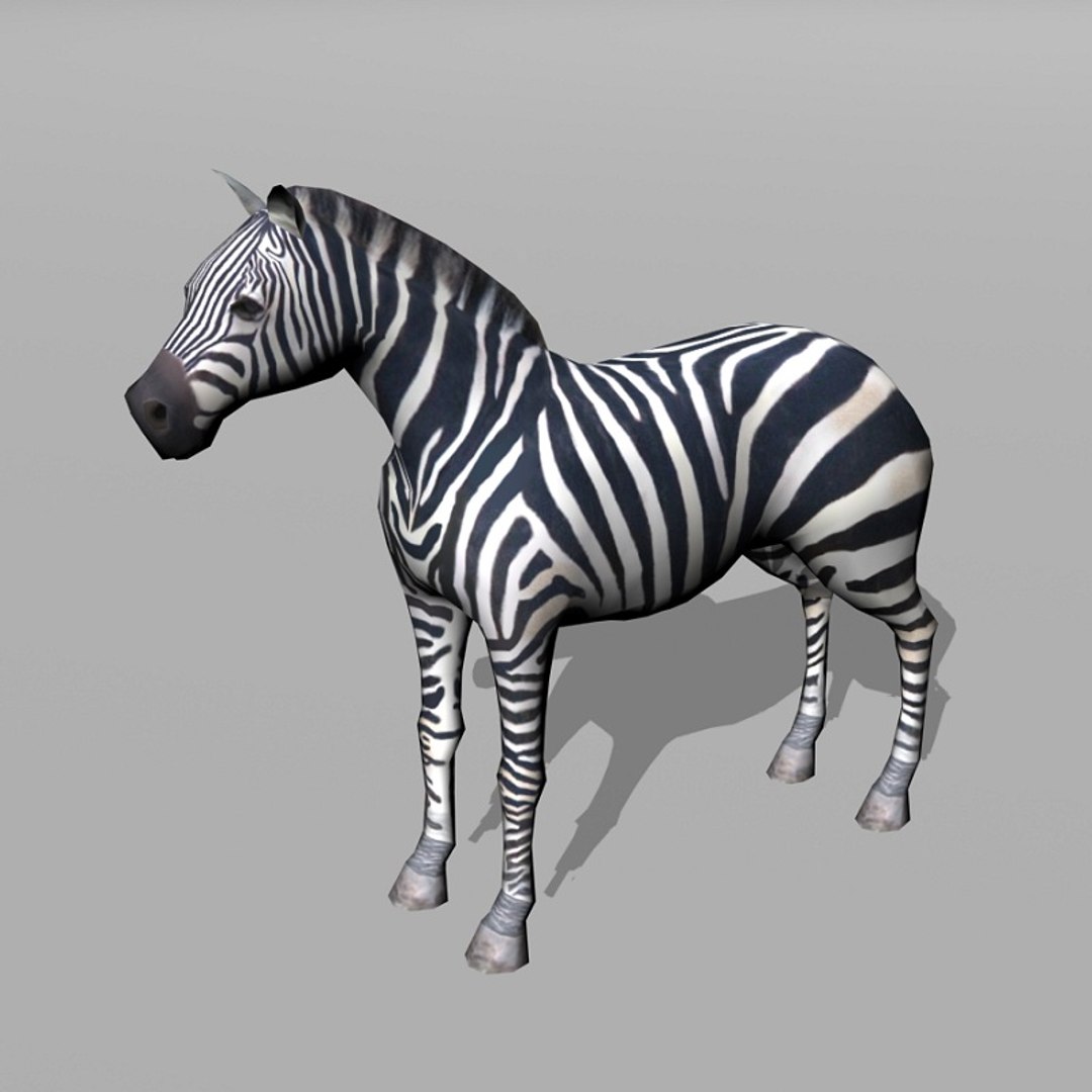 3d Model Zebra Uv