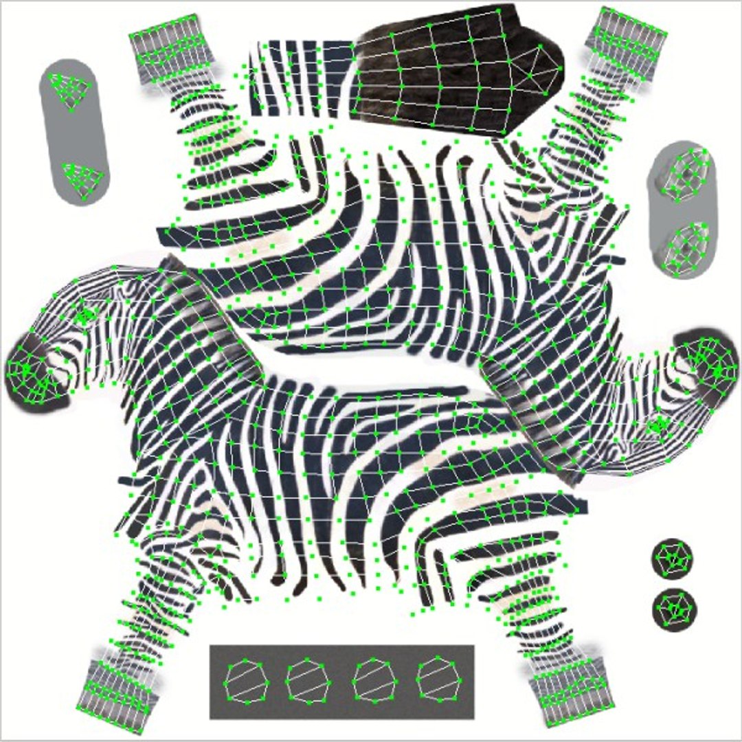 3d Model Zebra Uv