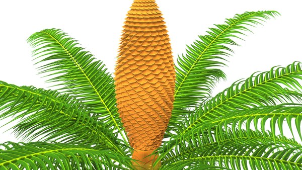 3D trilocular ovary - TurboSquid 1264420