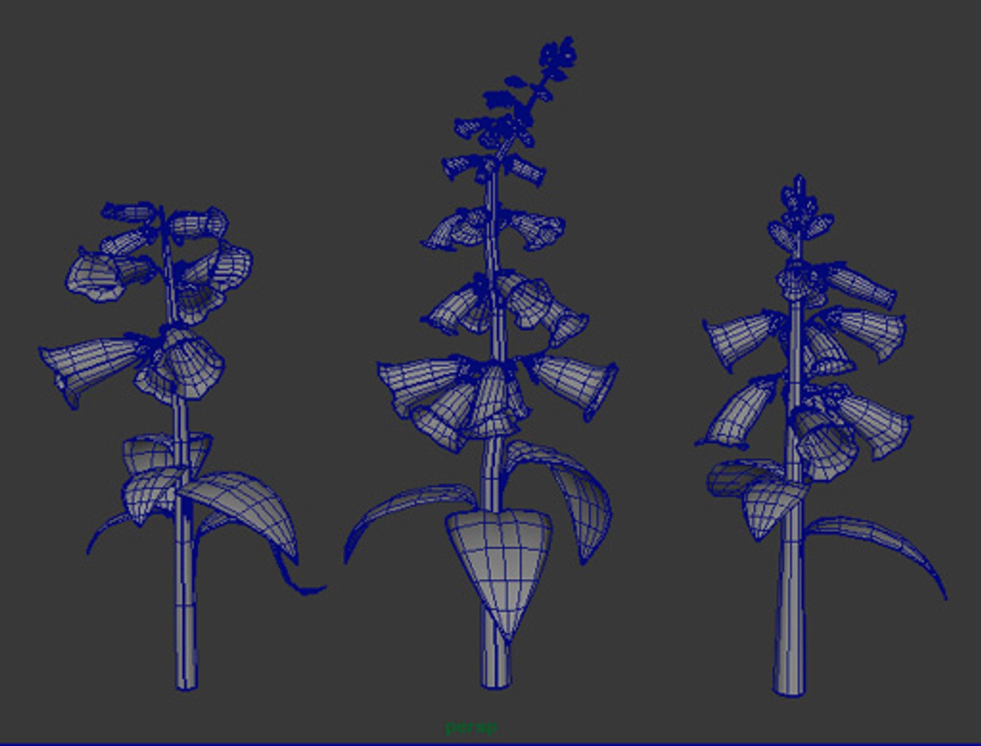 Ma Foxglove Modeled