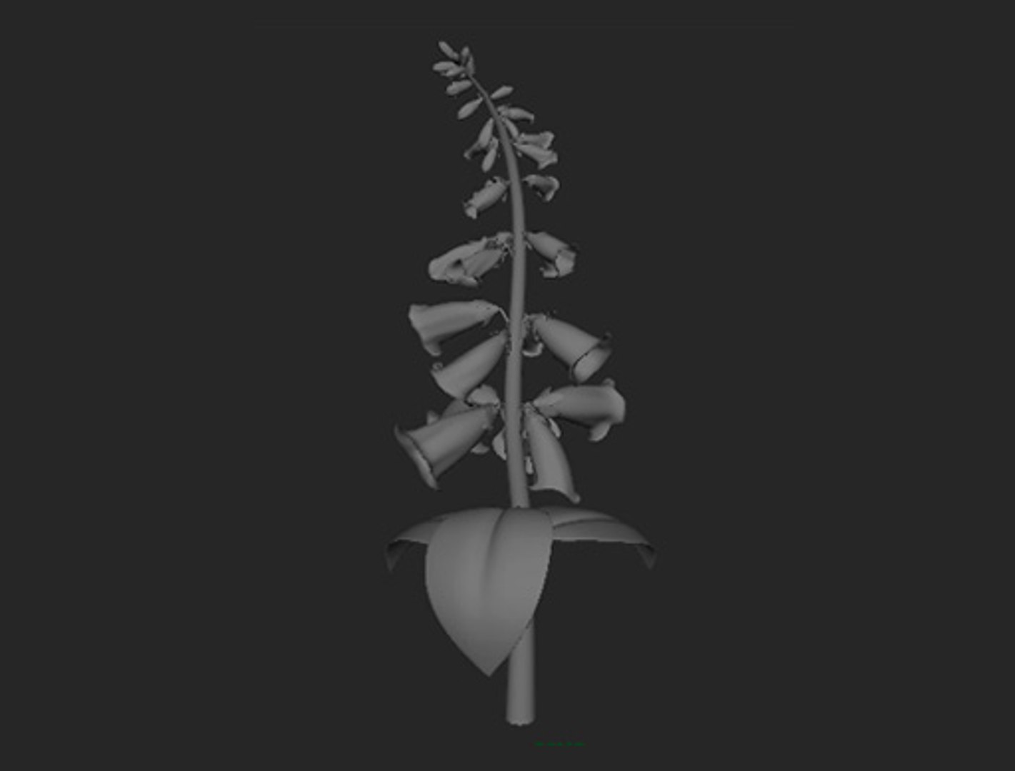 Ma Foxglove Modeled