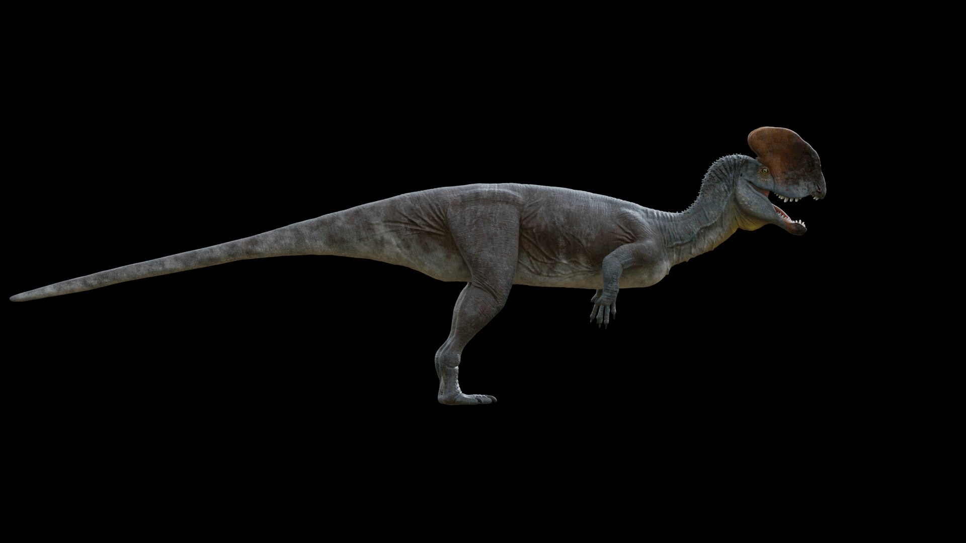 3D Model Dilophosaurus - TurboSquid 2072373