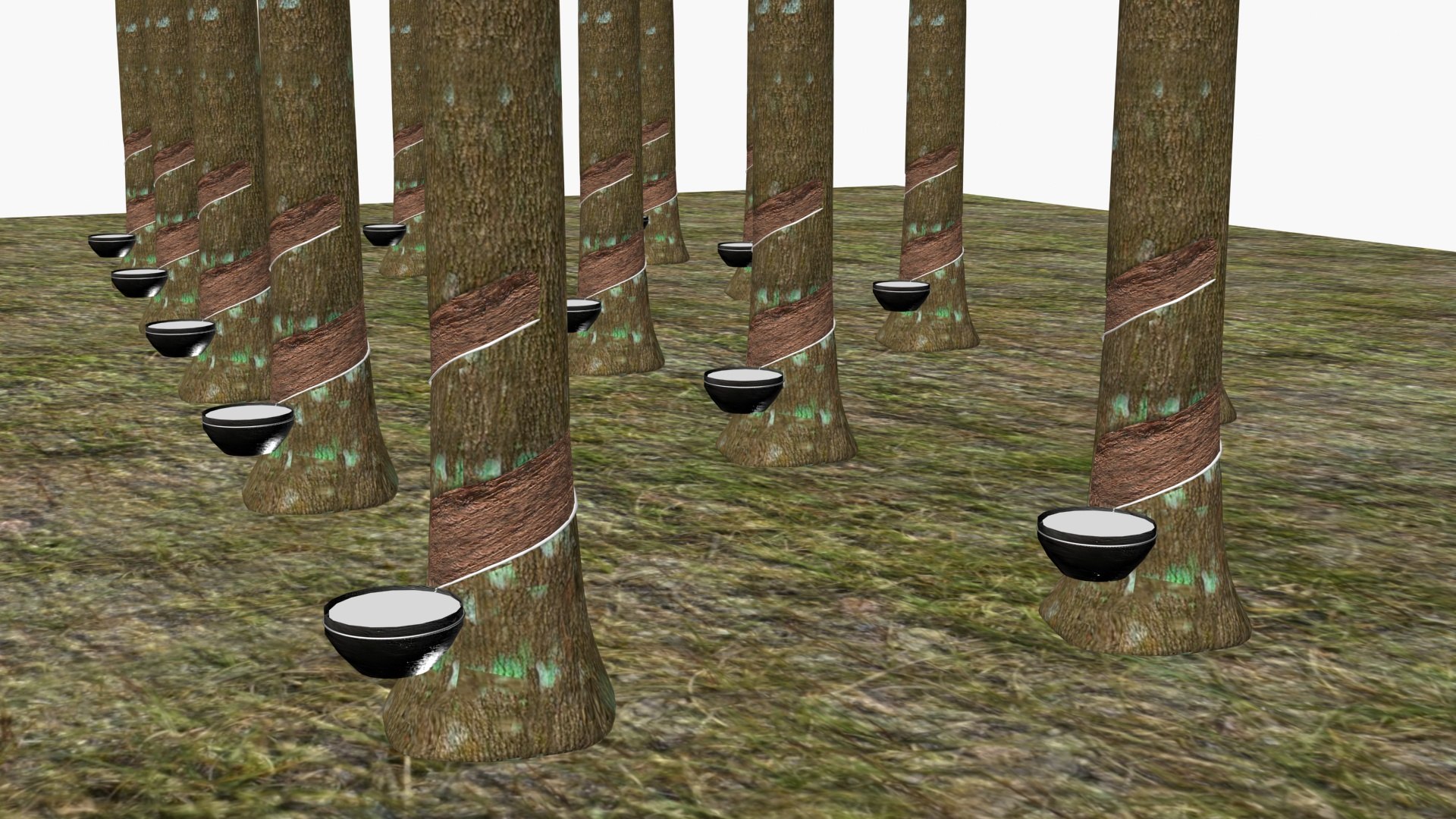 3D Model Rubber Tree - TurboSquid 2197211