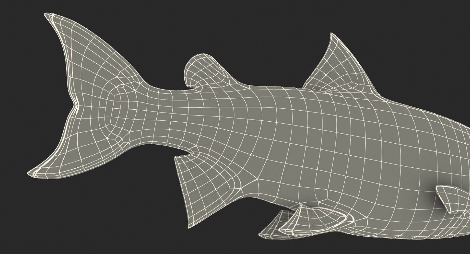 3D atlantic salmon fish rigged model - TurboSquid 1501091