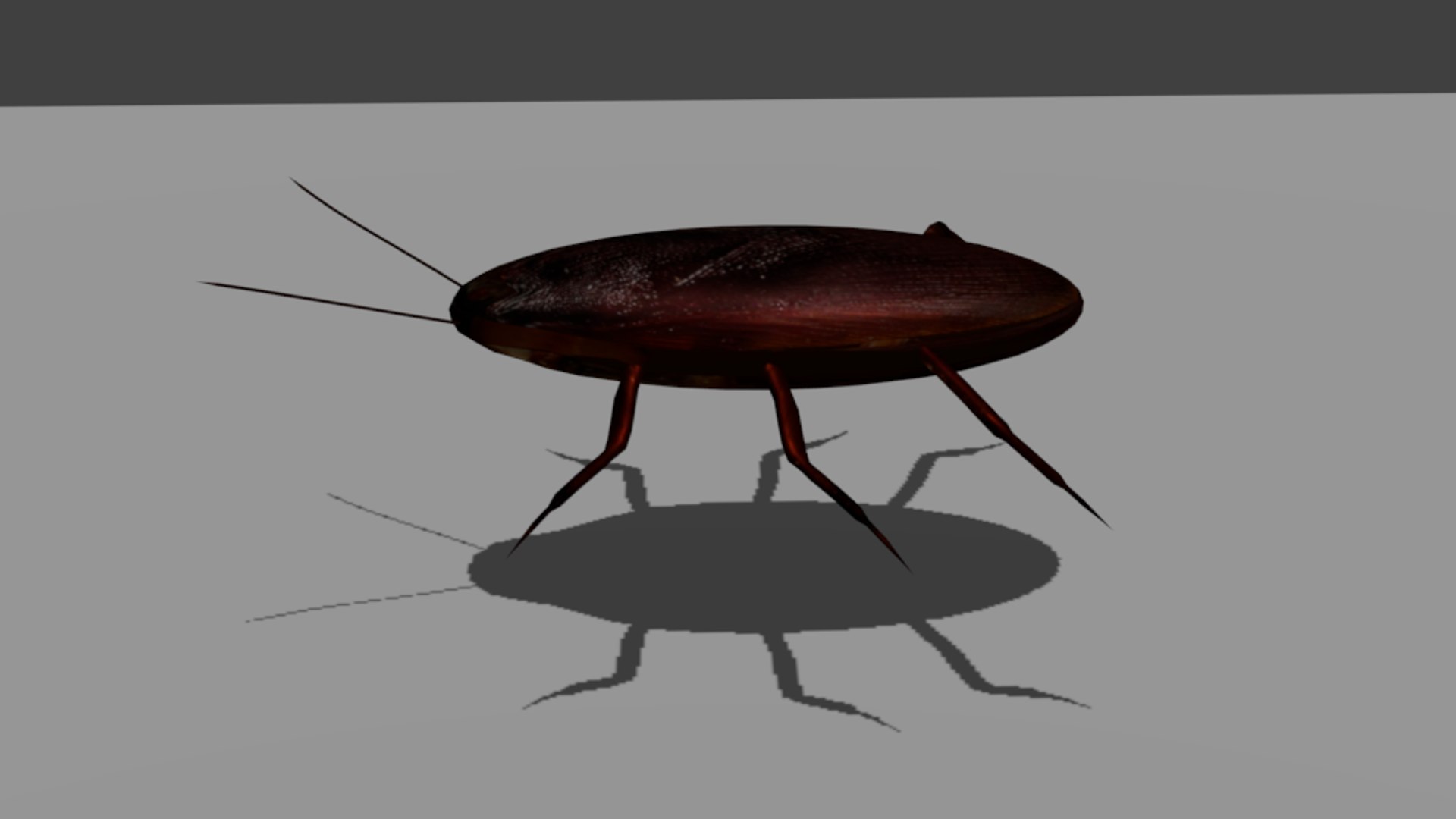 3D Model Roach Cockroach - TurboSquid 1525621
